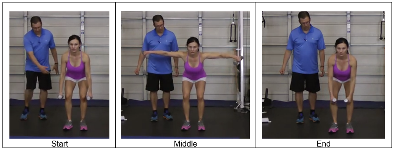 3 Effective Dumbbell Exercises For The Rotator Cuff Exercises For Injuries